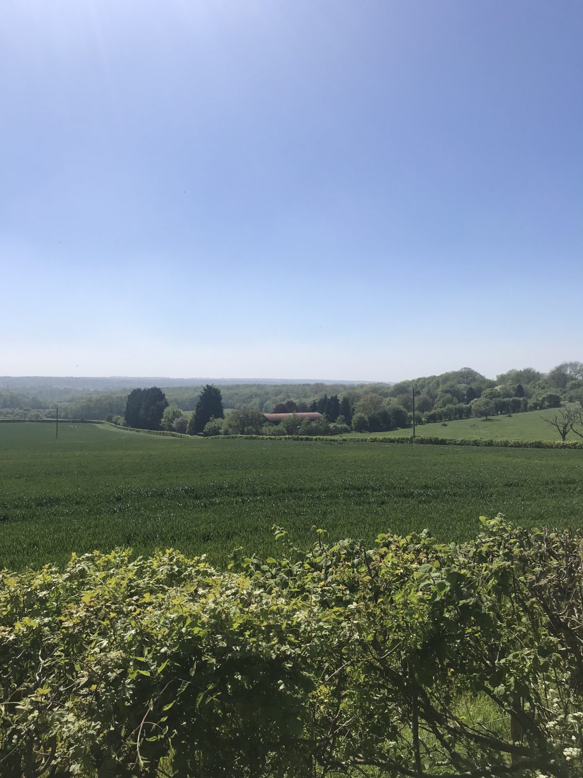CountryBike bike hire on the Pilgrim's Way in Hollingbourne