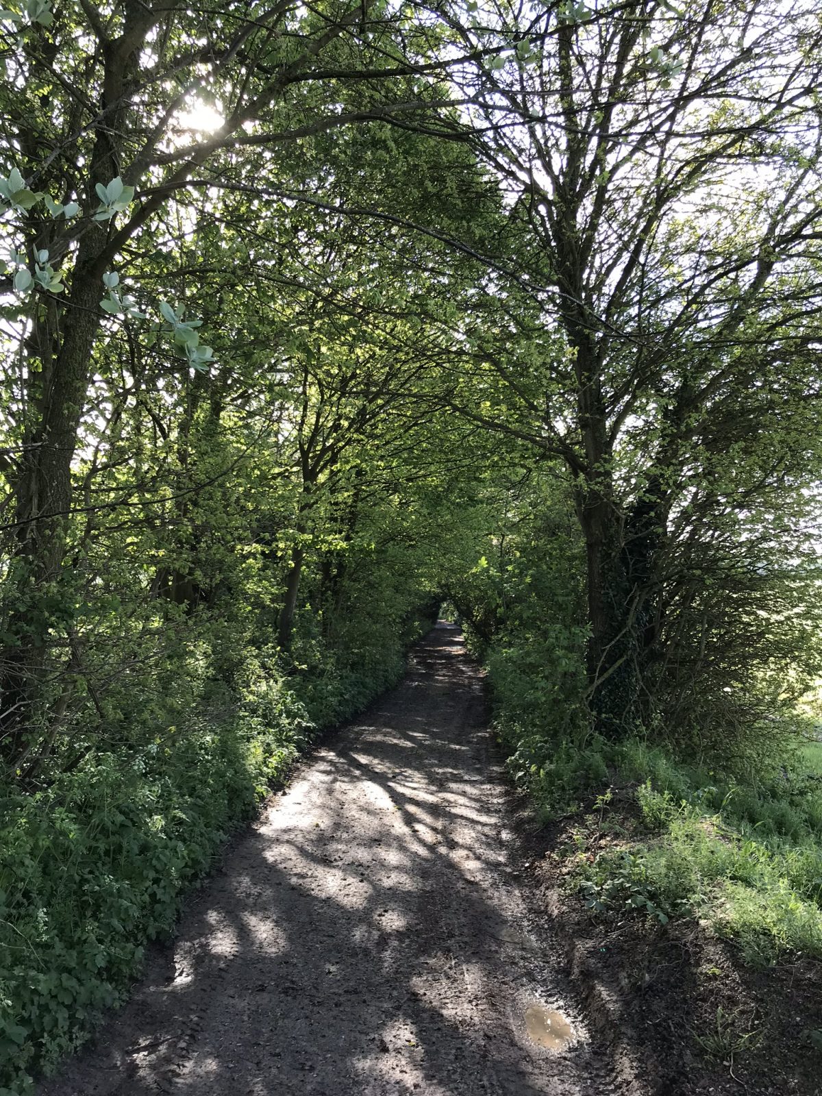 CountryBike bike hire on the Pilgrim's Way in Hollingbourne