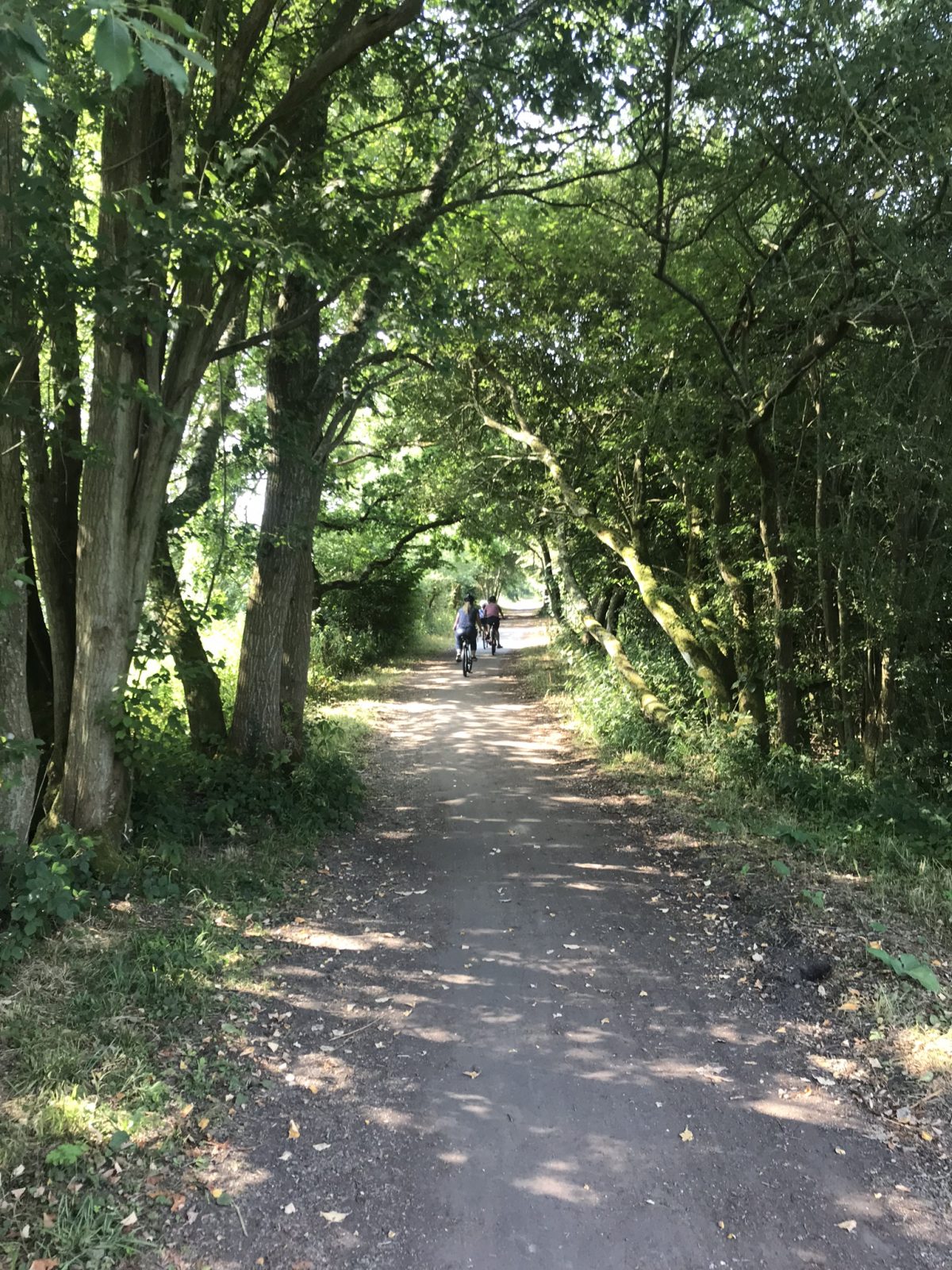 Countrybike bikes to hire along the Cuckoo Trail. East Sussex bike hire.