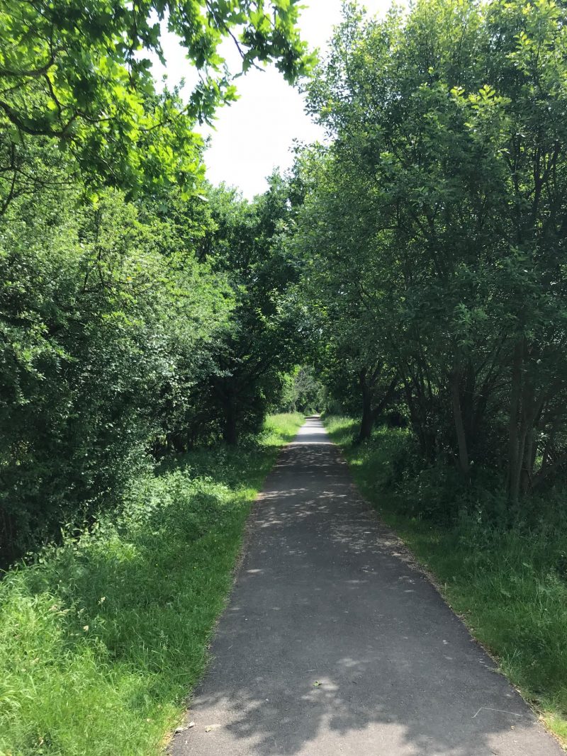 Polegate - on the Cuckoo Trail - Countrybike